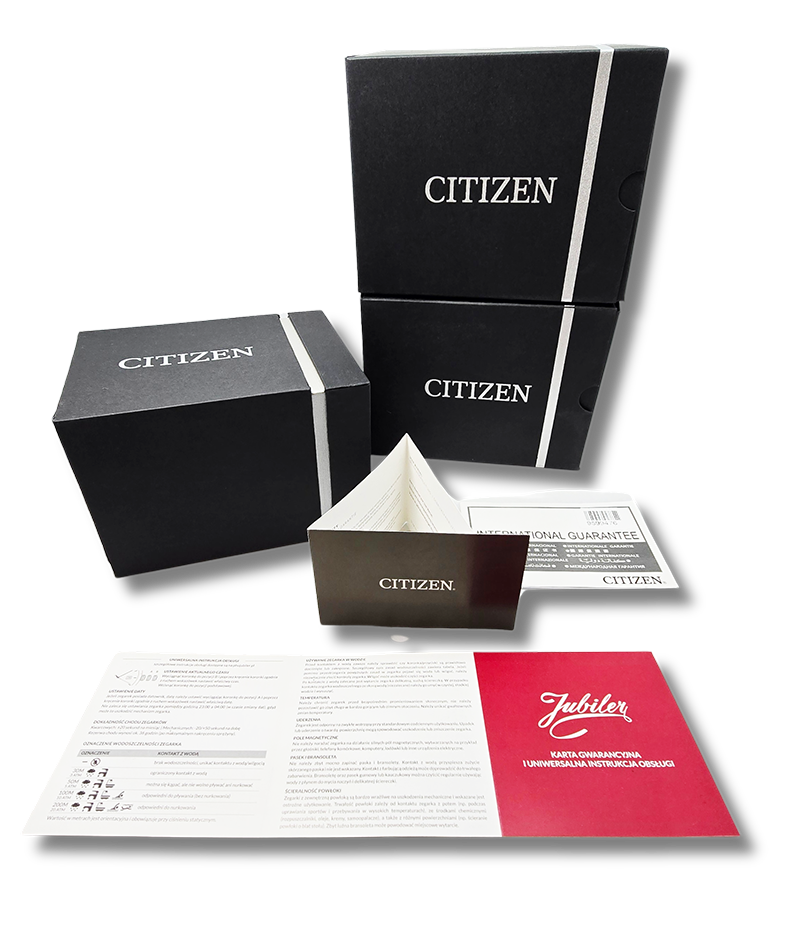 Zegarek Citizen Automatic NJ2198-16X (NJ219816X) - Zegarmistrz.com